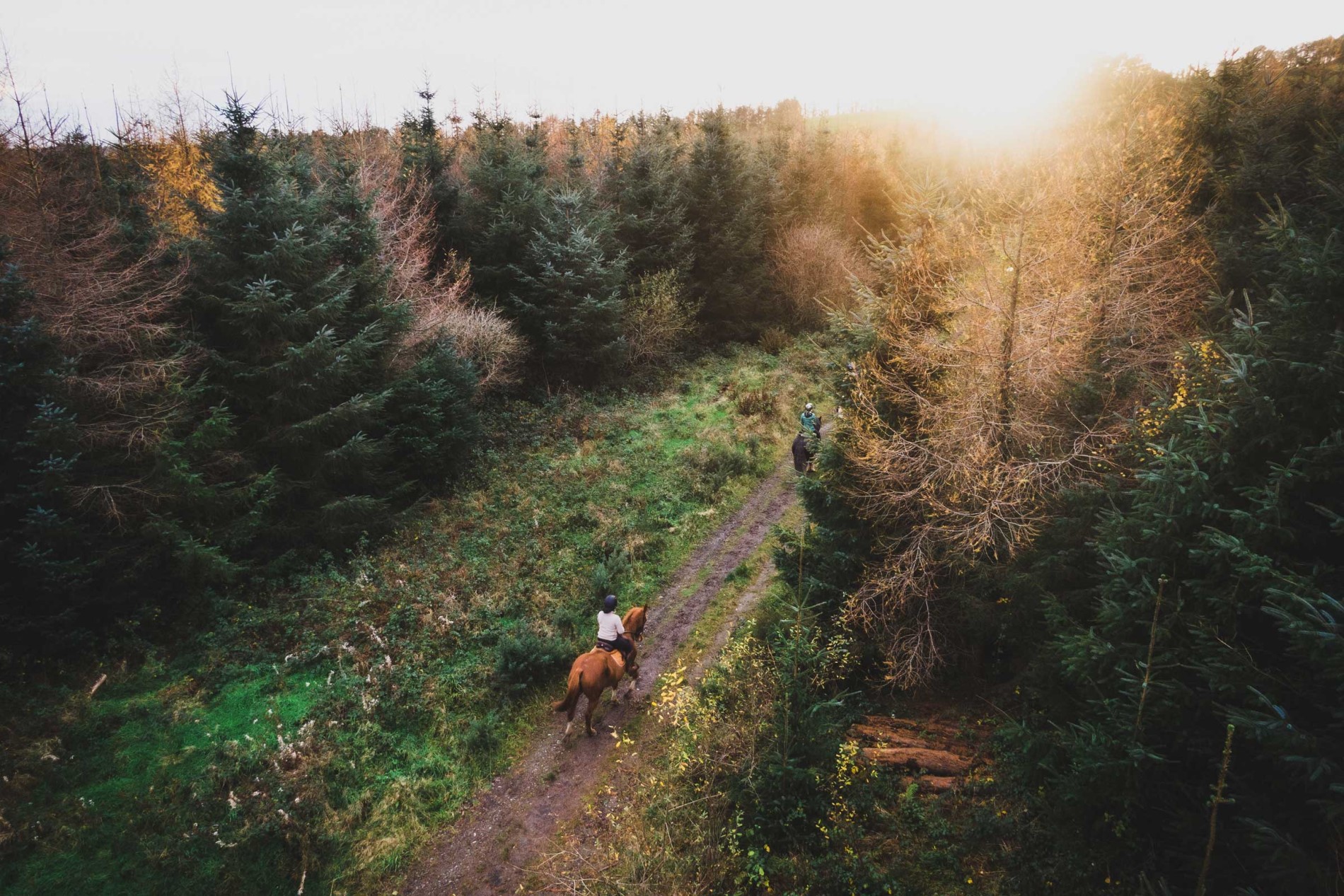 Jameson Distillery | Hotel Deals Dublin | The Address Connolly